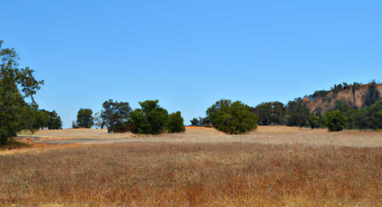 The Top 12 Best Places to Buy Land in the USA